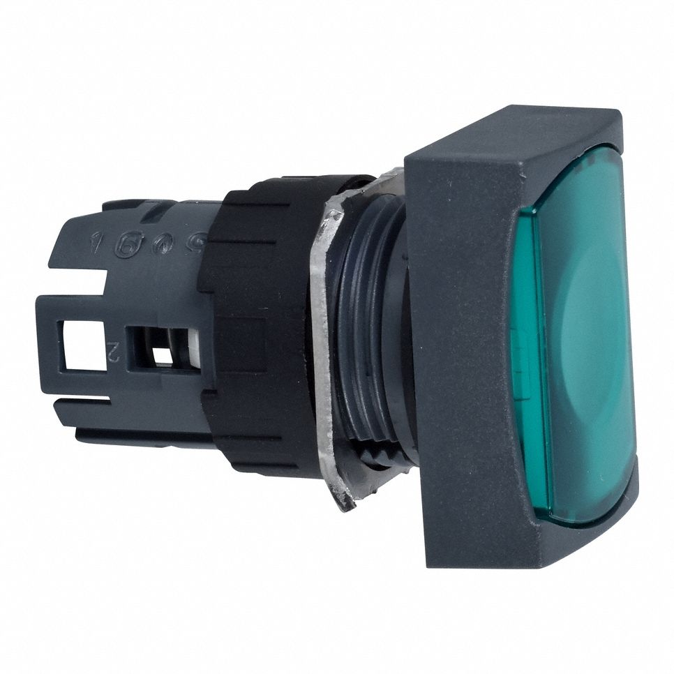 SCHNEIDER ELECTRIC, Green, 16 mm Mounting Size, Flush Push Button ...