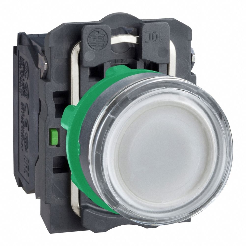 SCHNEIDER ELECTRIC, Illuminated, Flush Profile, Illuminated Push Button - 6HL87|XB5AW3165 - Grainger