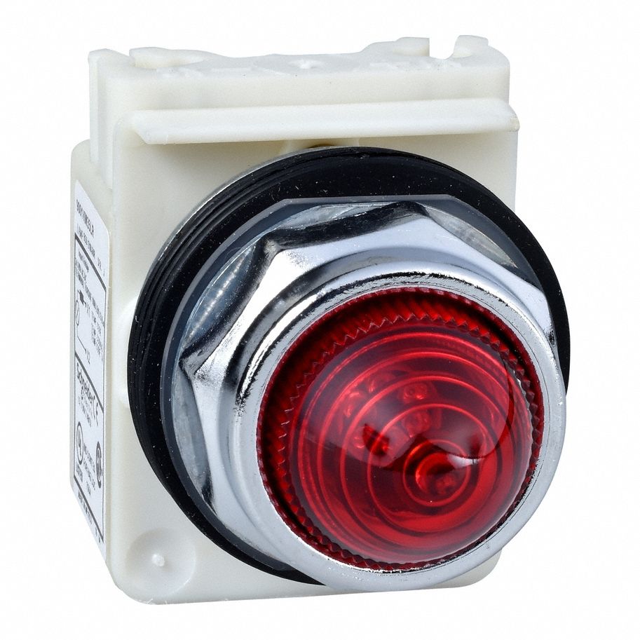SCHNEIDER ELECTRIC, 30 mm Panel Mounting Size, Red, Pilot Light - 2ER69 ...