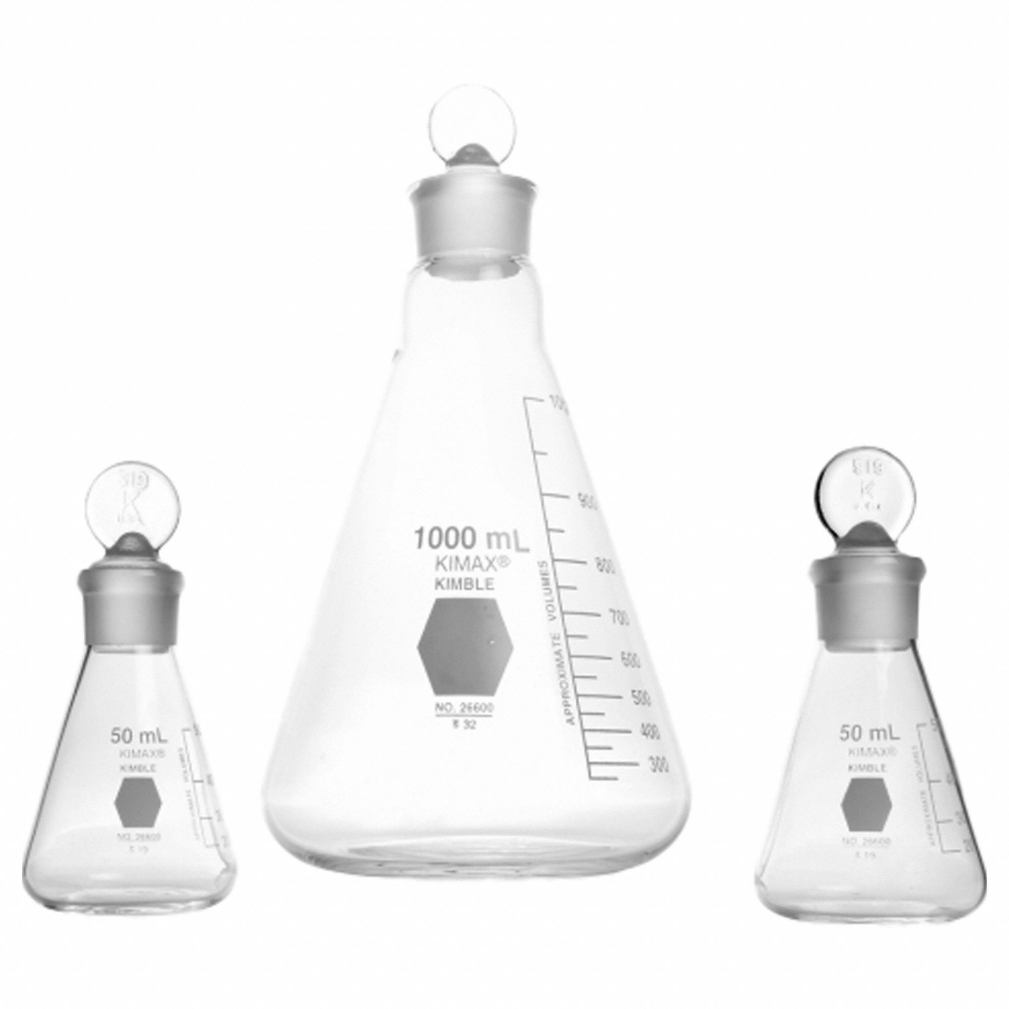 Borosilicate Glass, 25 mL Capacity - mL, Erlenmeyer Flask - 52NF22 ...